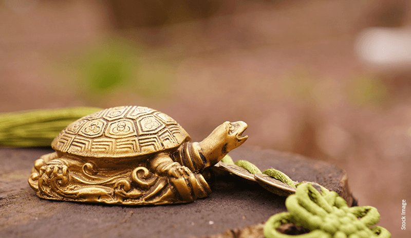 Feng Shui Tortoise Direction, Benefits - YF Decor